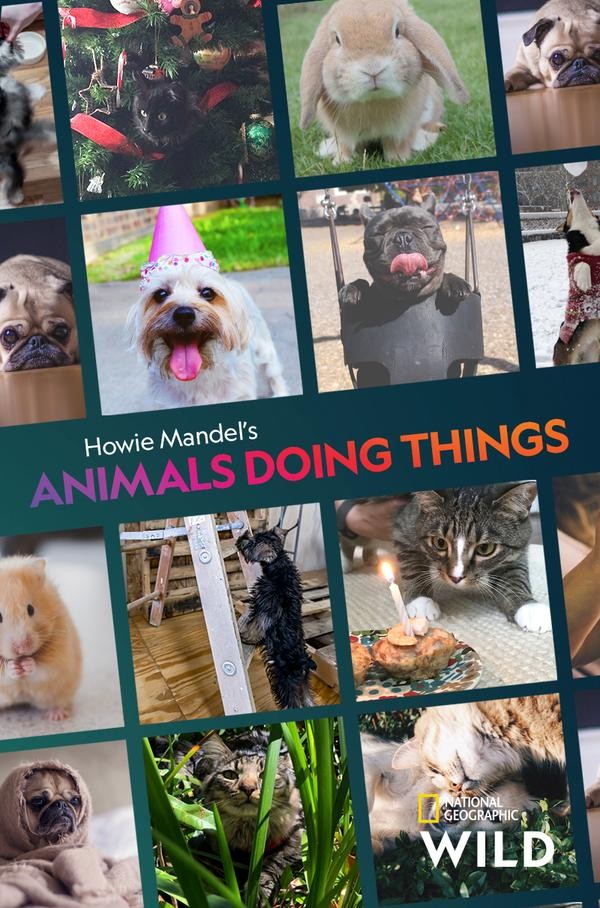 Howie Mandel's Animals Doing Things - Rotten Tomatoes