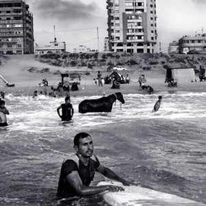 Gaza Surf Club - Rotten Tomatoes