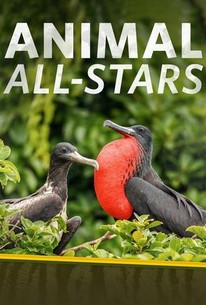 Animal All-Stars | Rotten Tomatoes