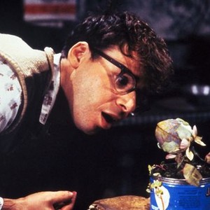 Little Shop of Horrors - Rotten Tomatoes