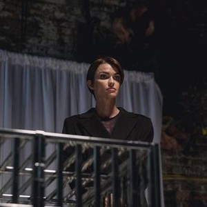 The Collective - Rotten Tomatoes