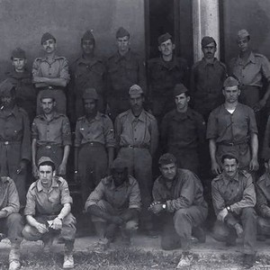 The Blue Lapa - Rotten Tomatoes