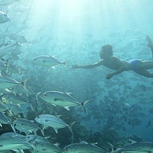 Human Planet - Rotten Tomatoes