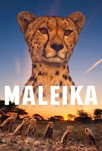 Maleika | Rotten Tomatoes