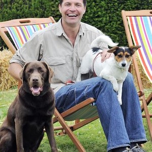 The Wonder of Dogs - Rotten Tomatoes