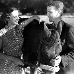 John Arledge - Rotten Tomatoes