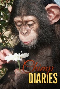 Chimp Diaries | Rotten Tomatoes