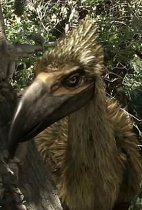 Prehistoric Predators: Season 1, Episode 5 | Rotten Tomatoes