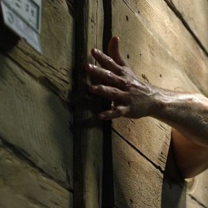 247F - Rotten Tomatoes