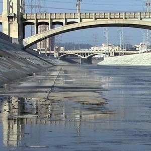 Life Under the Bridge - Rotten Tomatoes