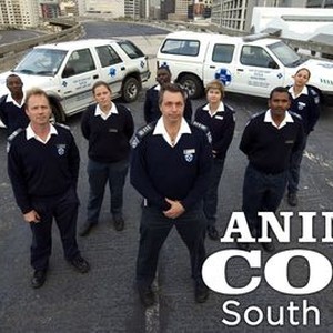 Animal Cops: Detroit: Season 12, Episode 10 - Rotten Tomatoes