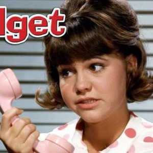 Gidget - Rotten Tomatoes