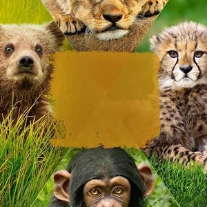 Growing Up Wild - Rotten Tomatoes