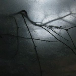 The Sound of Insects: Record of a Mummy - Rotten Tomatoes