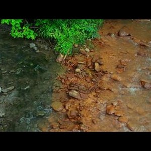 Time to Choose - Rotten Tomatoes