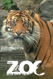 The Zoo: Season 1 | Rotten Tomatoes