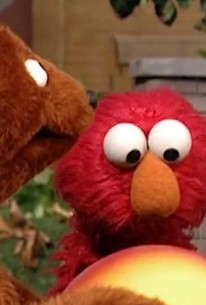 Sesame Street: Season 36, Episode 17 - Rotten Tomatoes