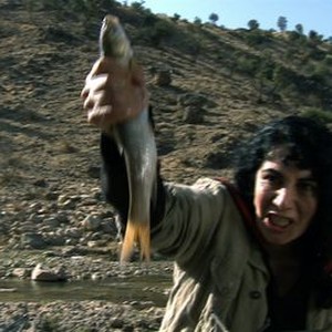 Êk Momik, Du Momik... - Rotten Tomatoes