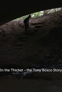 In the Thicket the Tony Bosco Story | Audience Reviews | Rotten Tomatoes