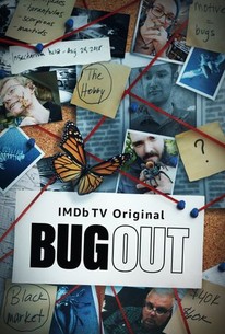 Bug Out | Rotten Tomatoes