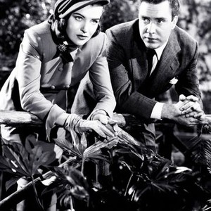 The Web - Rotten Tomatoes