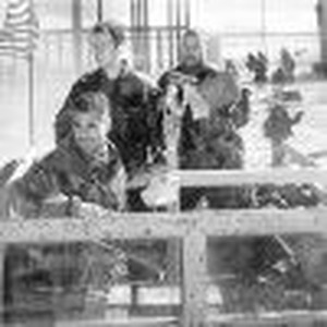 Three Kings - Rotten Tomatoes