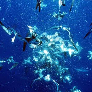 The Blue Planet - Rotten Tomatoes