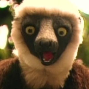 Zoboomafoo: Season 1, Episode 33 - Rotten Tomatoes