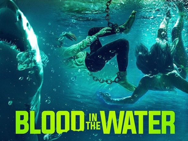 Blood Underwater Why Blood Appears Green Underwater?