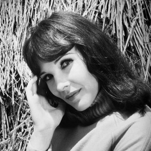 Janice Rule - Rotten Tomatoes