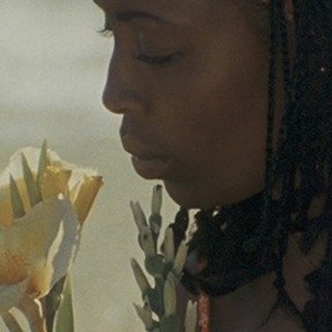 Cane River - Rotten Tomatoes