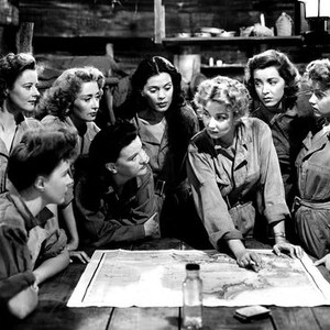 Fely Franquelli - Rotten Tomatoes