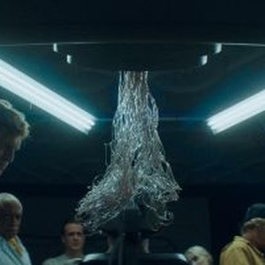The Discovery - Rotten Tomatoes