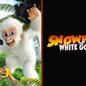 Snowflake, the White Gorilla - Rotten Tomatoes