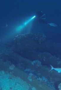 Shipwreck Secrets: Season 1, Episode 2 | Rotten Tomatoes