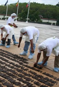 How Do They Do It?: Season 9, Episode 12 | Rotten Tomatoes