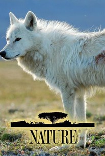 Nature: Season 27 | Cast and Crew | Rotten Tomatoes