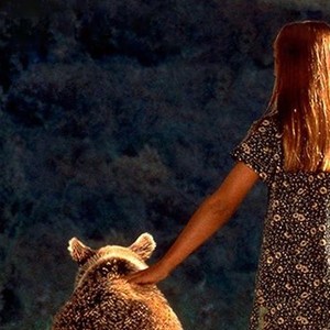 Ms. Bear - Rotten Tomatoes