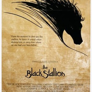 The Black Stallion - Rotten Tomatoes