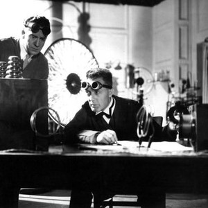 Forrest Taylor - Rotten Tomatoes