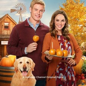 Love, Fall & Order - Rotten Tomatoes