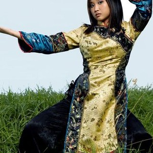 Wendy Wu: Homecoming Warrior - Rotten Tomatoes