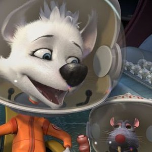 Space Dogs (2010) - Rotten Tomatoes