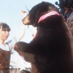 The Magic of the Golden Bear: Goldy III - Rotten Tomatoes