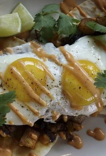 Taco Trip: Season 2, Episode 9 | Rotten Tomatoes