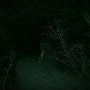 Atrocious - Rotten Tomatoes