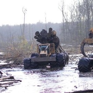 Swamp Loggers - Rotten Tomatoes