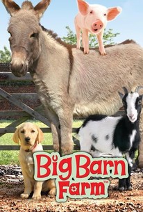 Big Barn Farm - Rotten Tomatoes