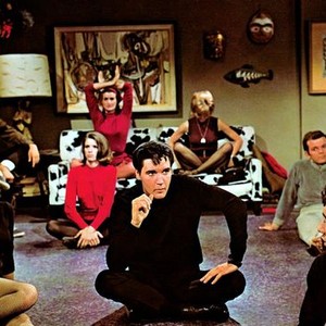 Easy Come, Easy Go - Rotten Tomatoes