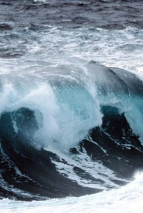 The Blue Planet: Season 1, Episode 7 | Rotten Tomatoes